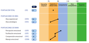 MSCEIT: test competencias emocionales | Selección | Entrevistas